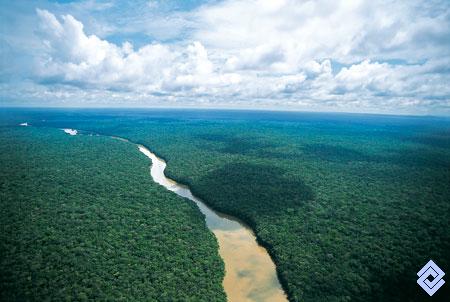 Banco de Occidente :::. Paisaje de la planicie amazónica.