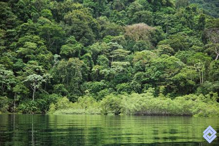 Banco de Occidente :::. A lo largo de la costa del Chocó Biogeográfico ...