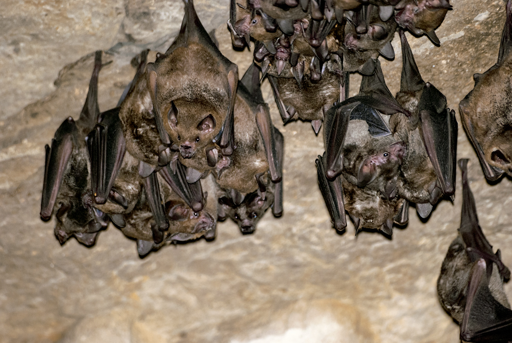 Capítulo 3 | Galería Fotográfica