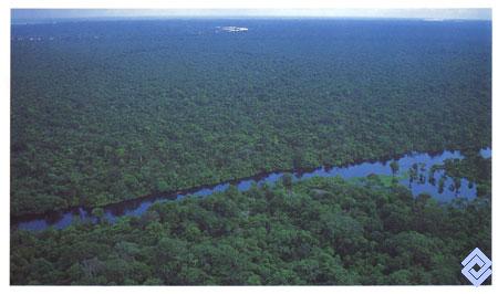 Banco de Occidente :::. El Neotrópico posee una serie de ...